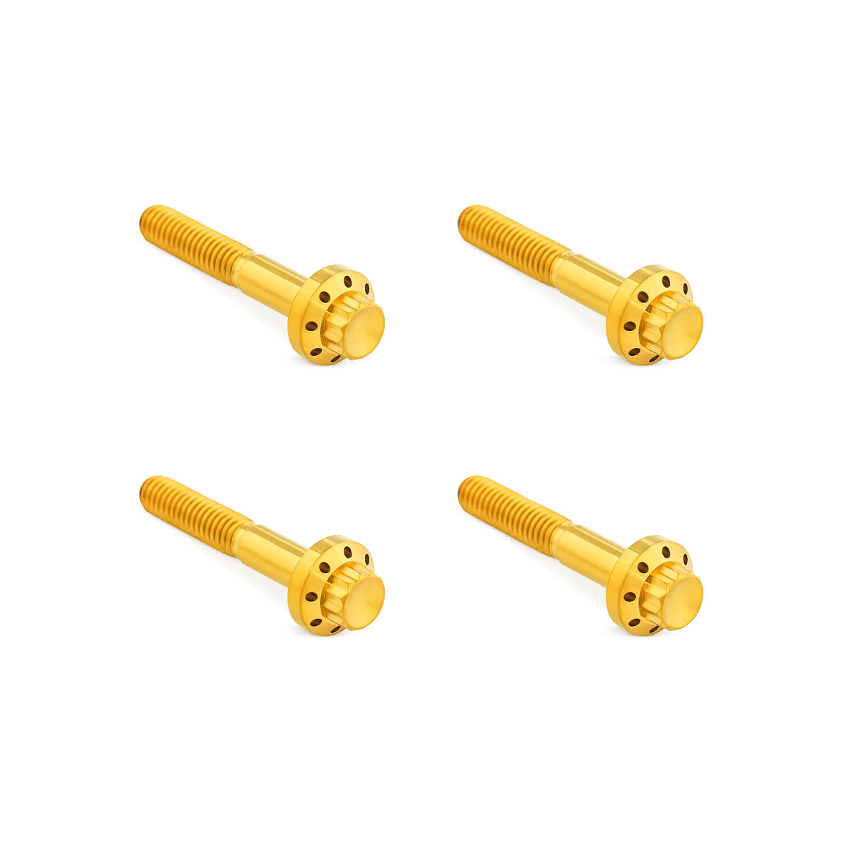 Titanium 12-Point Front Fender Bolts, Gold — Ramjet Racing